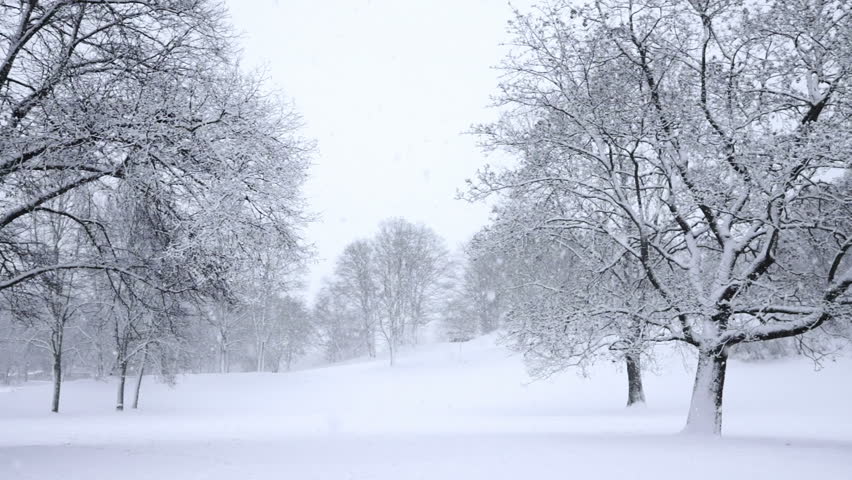 Snow Falling Stock Footage Video - Shutterstock