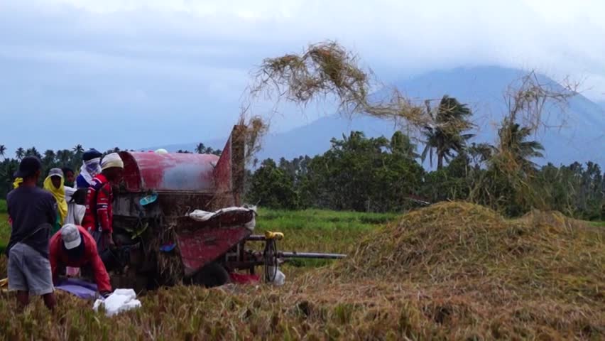 LAGUNA, PHILIPPINES - DECEMBER 20, 2014: Third World agricultural ...
