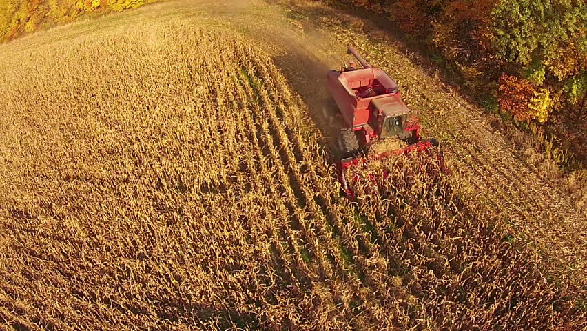 Aerial Footage Of Corn Field Harvest On A Late Fall Evening In Illinois ...