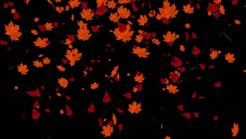 Falling Autumn Leaves Animation Use Your Footage In The Bg : - Make It ...