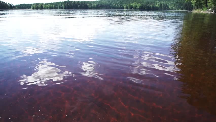 Bullet Hit Stock Footage Video - Shutterstock