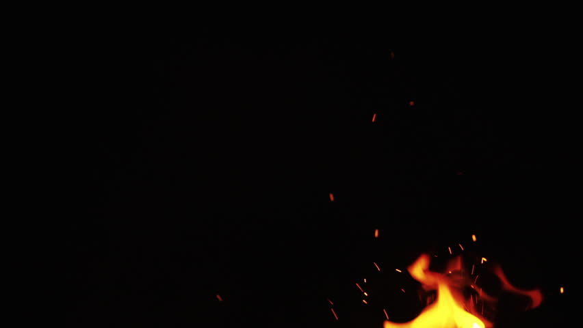 Crackling Sparks Rising From The Top Of A Campfire At Night. Pure Black ...