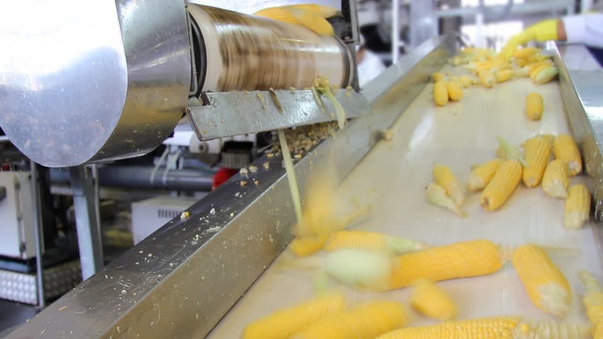 Corn Processing Factory Stock Footage Video 2735177 - Shutterstock