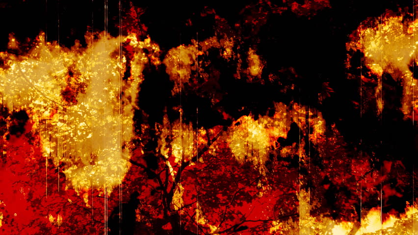 Grunge Looping Forest Fire Background Stock Footage Video 284617 ...