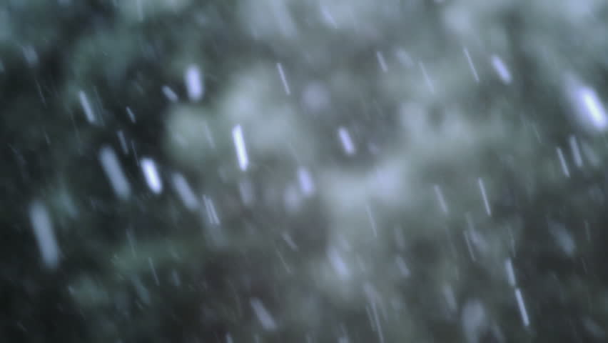 Snow Falling - Lots Of Variety Stock Footage Video 2981950 - Shutterstock