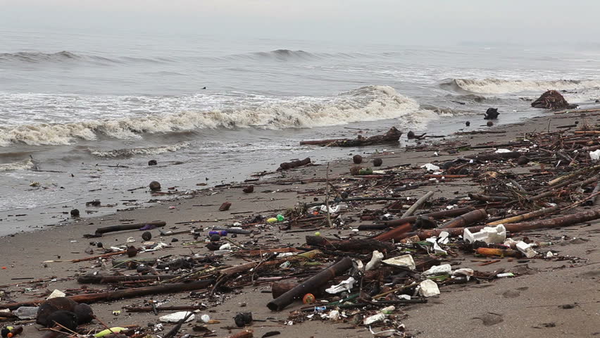 Messy Stock Video, Footage - Messy HD Video Clips | Bigstock