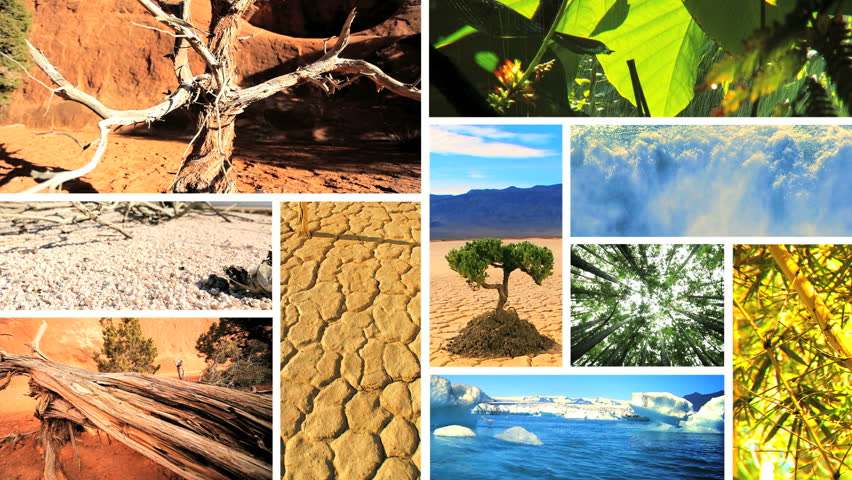 Montage View Of Earths Natural Climate In Different Global Environments ...