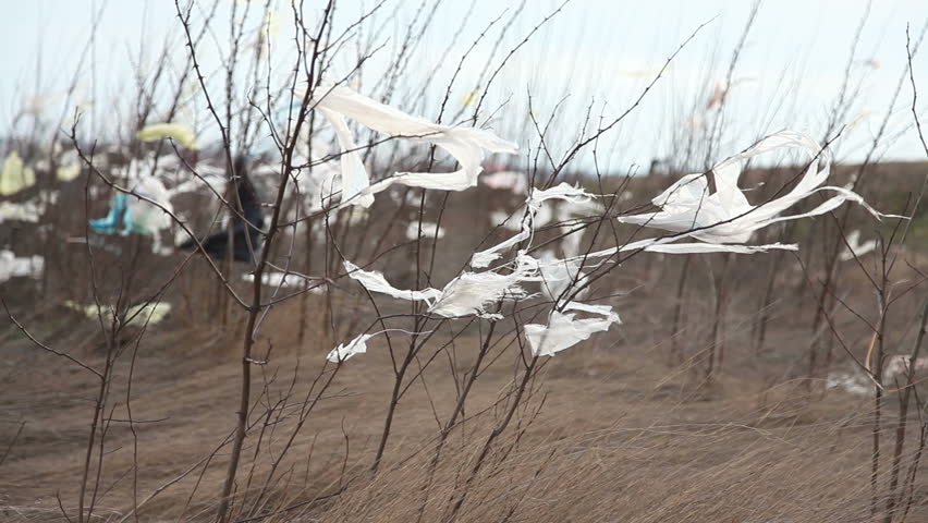 Plastic Bags On The Tree, Close Up, Slow Motion,wind Blowing. Stock ...