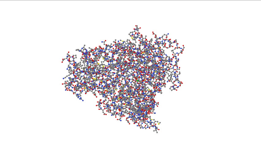 Actin Protein Ball And Stick Chemical Model Rotating On White ...
