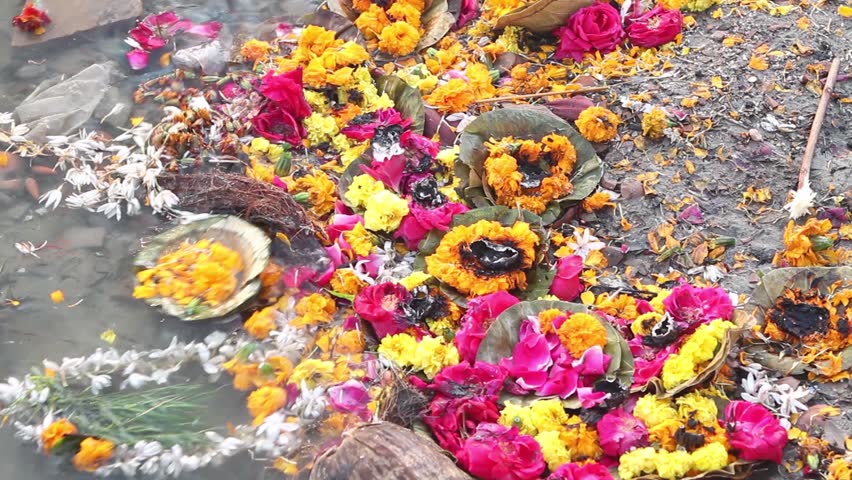 Flowers Floating On Ganges River In Varanasi, India Stock Footage Video ...