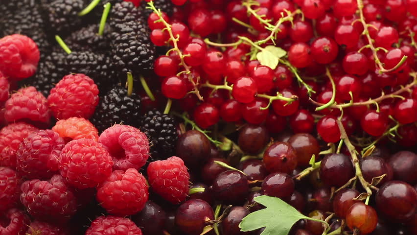 Mix Of Different Berries, Fresh Berries Close Up Rotation, Seamlessly ...