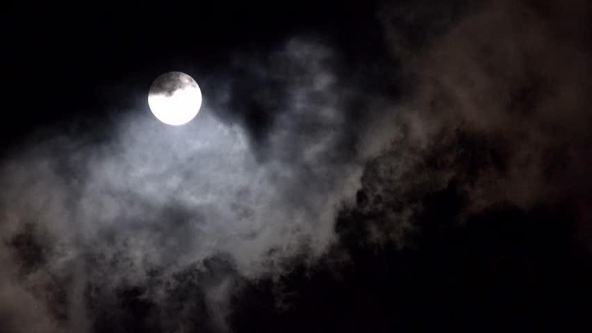 Full Moon On Foggy Night. Stock Footage Video 5434922 - Shutterstock