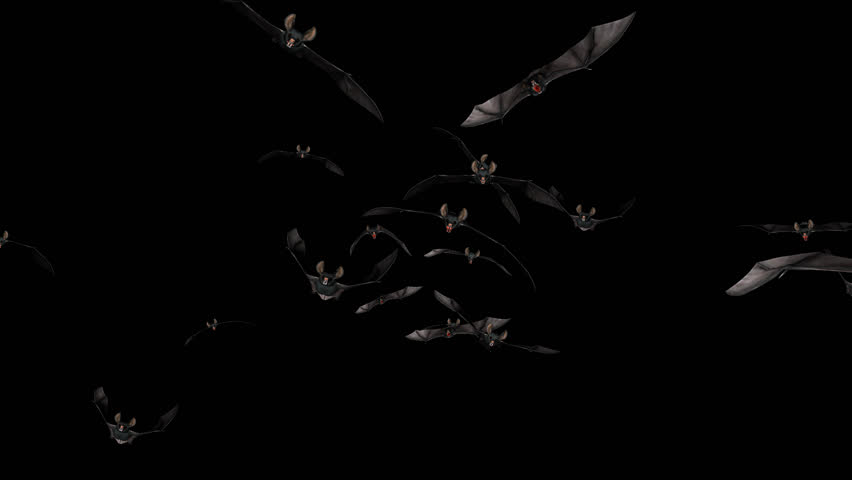 Bat Swarm - Front Flying Transition 2 - Alpha Channel - Aggressive ...