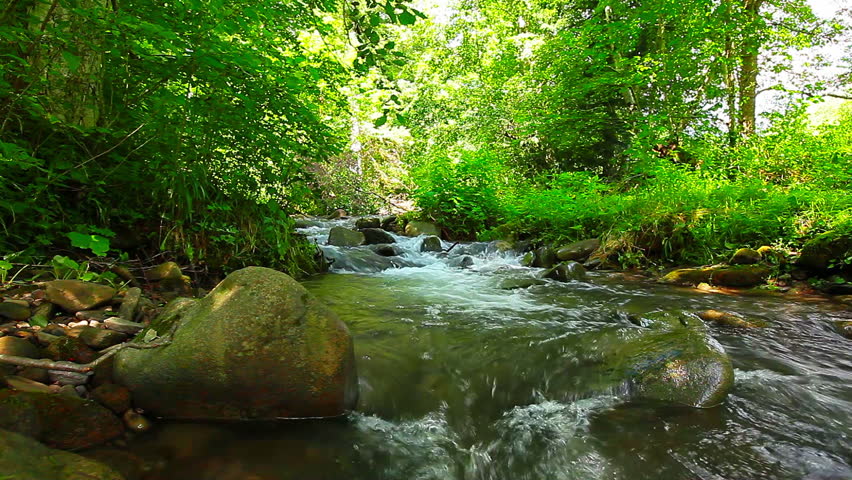 Beautiful Slow Flowing Stream Through Forest On Bright Summer Day Stock ...