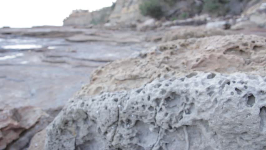 Geology - Sedimentary Structures Ichnofacies And Worm Burrow ...