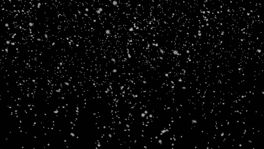 Intense Snow Falling Texture Stock Footage Video 6927058 - Shutterstock